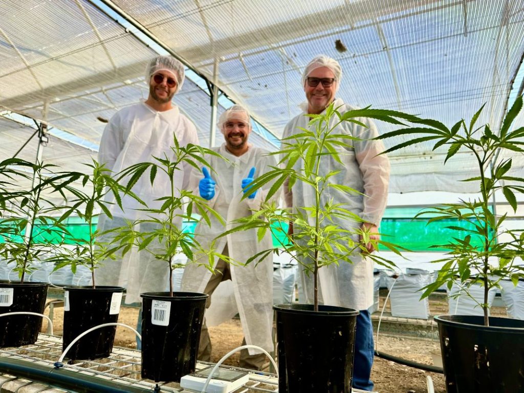 Introducing STANDARD BOTANIC - Australia's First Dedicated Medicinal Cannabis Nursery ⋆ ...