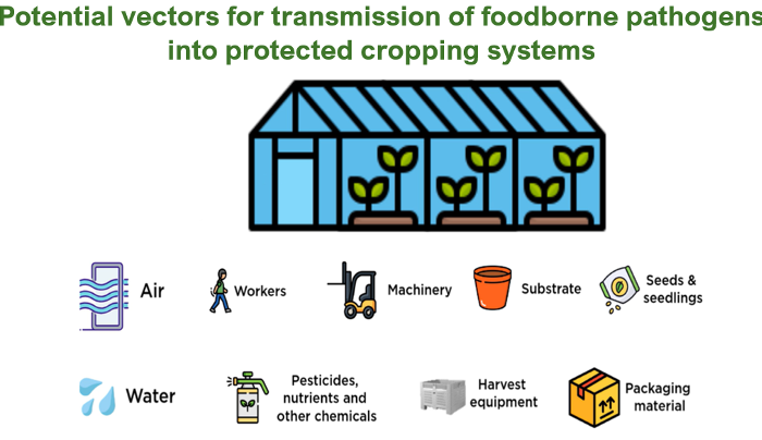 Protected Cropping Australia (PCA)