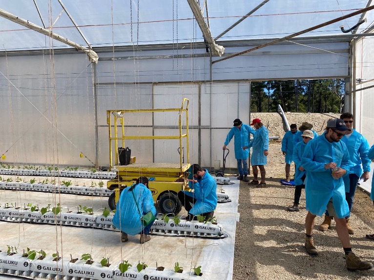 'Back to Basics' Hydroponic Training ⋆ Protected Cropping Australia (PCA)