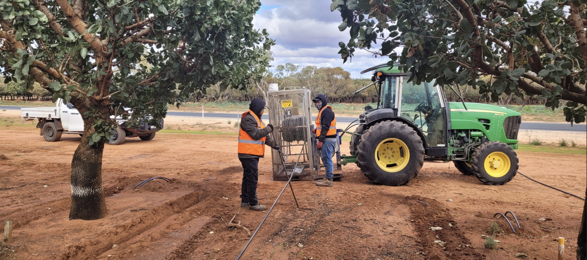 Recycling program a ‘no-brainer’ for old orchard poly, dripperline ⋆ ...