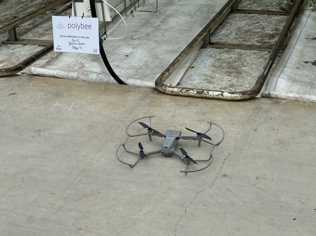 Polybee: Revolutionizing Pollination With Drones ⋆ Protected Cropping ...