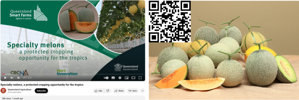 Specialty melons, a protected cropping opportunity for the tropics ⋆ ...